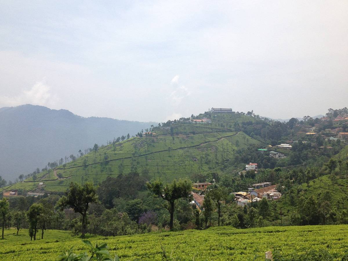 Ooty India, Tourist, Tourist Activities & Attractions, Things to do