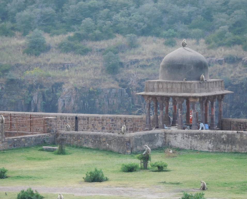 Ranthambore Fort, Visiting Timings, History & Information