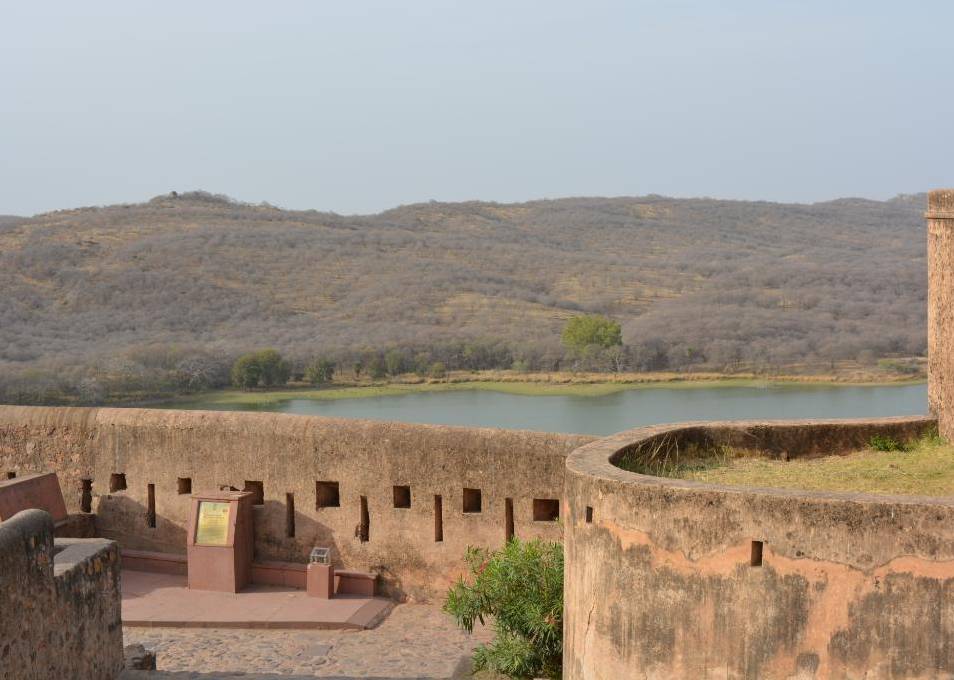 Ranthambore Fort, Visiting Timings, History & Information