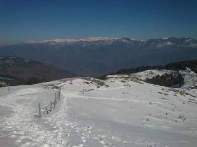 Patnitop Hill Station, Tourist Attractions & Travel Guide, Images