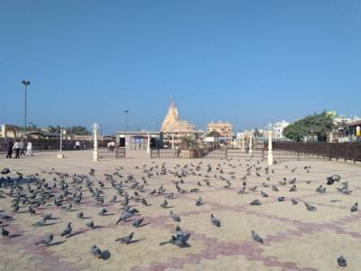 Somnath Jyotirlinga Temple, Timings, History, Importance, Facts
