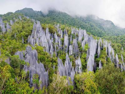 Gunung Mulu National Park Malaysia, Travel Guide, History, Photos