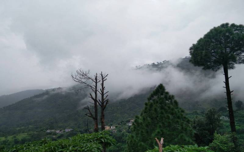 Lansdowne Hill Station, Tourist Attractions & History, Images