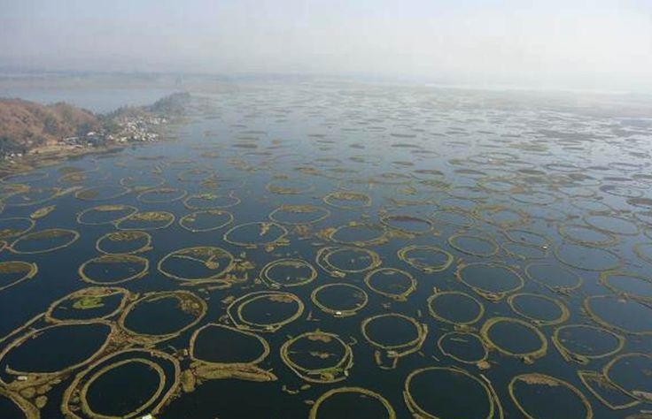 Loktak Lake Manipur, Sendra Island, Phumdis, Information, Images
