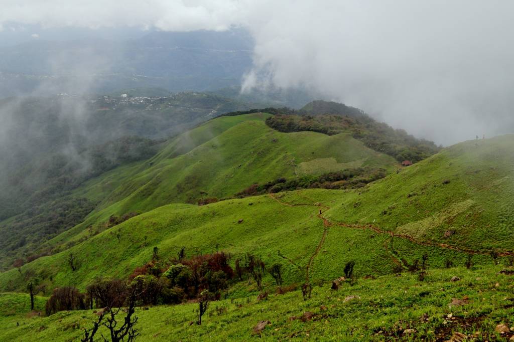 Shirui Kashung (Kashong) Ukhrul, Siroy Lily Flowers, Peak & Hill Station