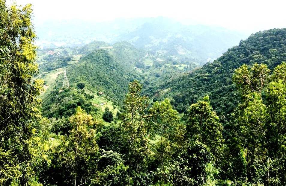 Araku Valley Hill Station Visakhapatnam, Things to do & Photos