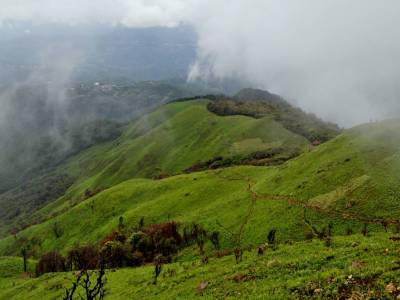 Shirui Kashung (Kashong) Ukhrul, Siroy Lily Flowers, Peak & Hill Station