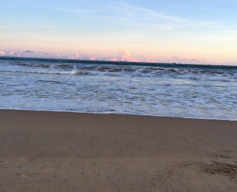 Konark Beach Puri Odisha, History, Things to do & How to visit