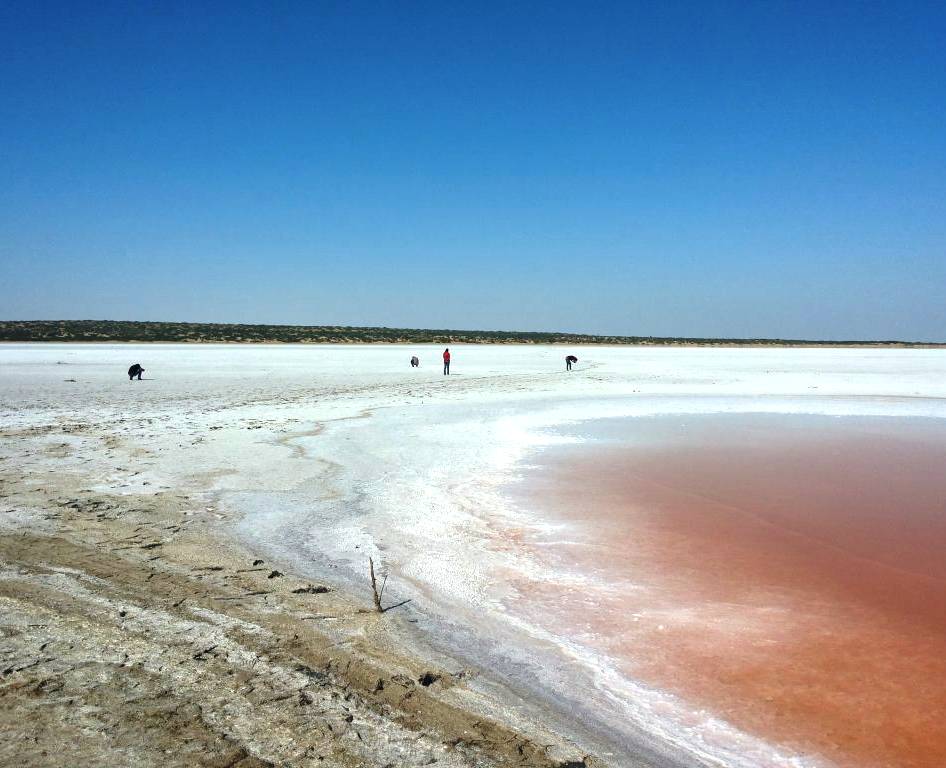 Great Rann of Kutch, White Desert Gujarat, Things to do, Images