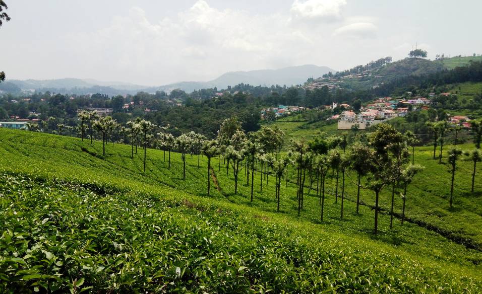 Coonoor Tourist Attractions & Activities, Images, Things to do