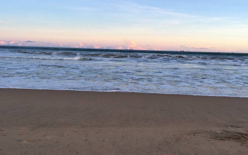 Konark Beach Puri Odisha, History, Things to do & How to visit