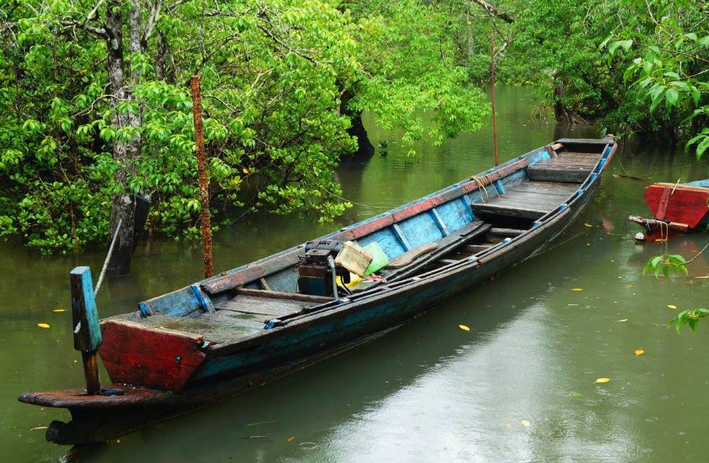 Limestone Caves Baratang Island, Things to do, How to reach