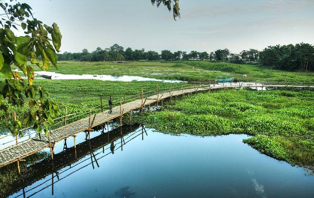 About River Island Majuli, Location, Tourist Activities & Facts