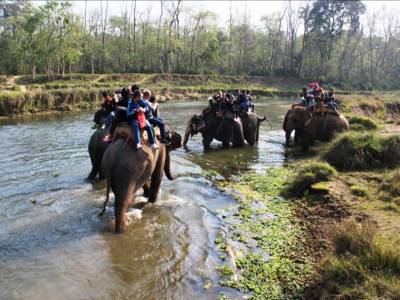 Chitwan National Park Nepal, Entry Fees, Elephant Safari, Timings
