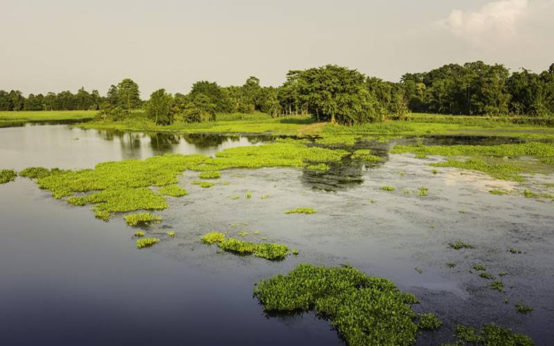 About River Island Majuli, Location, Tourist Activities & Facts
