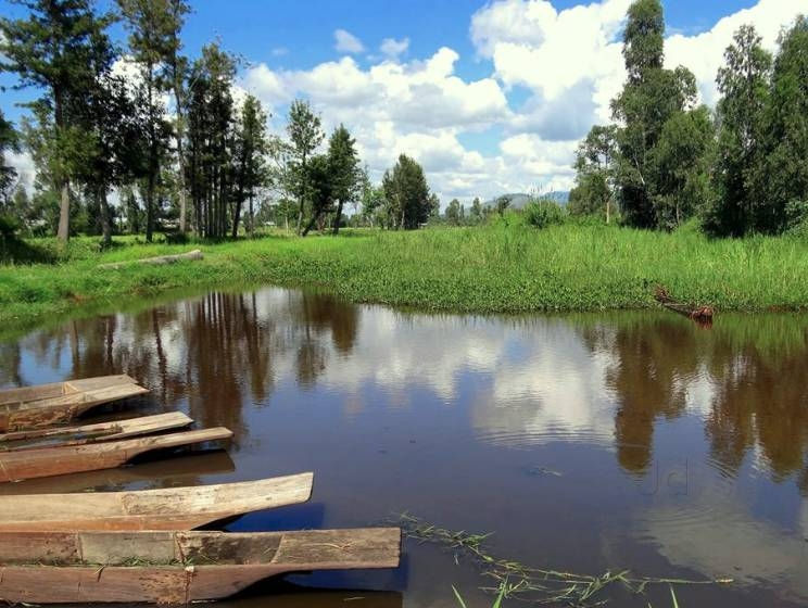 Ikop Lake Manipur - Ikop Pat Thoubal, History, Information, Photos