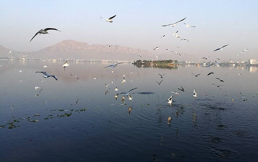 Ana Sagar Lake Ajmer, History, Timings & Things to do