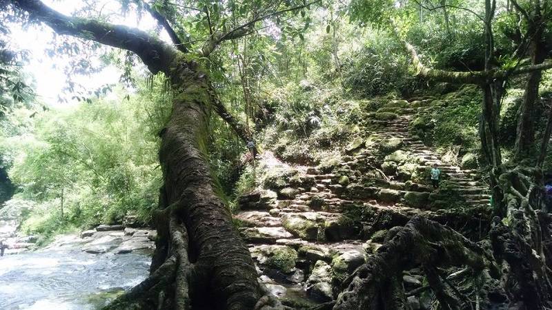 Krem Marai Cave Shillong, History, Timings, Images, Information