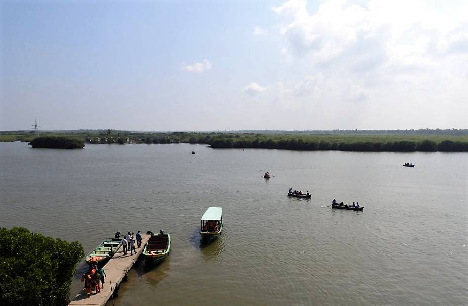 Pichavaram Mangrove Forest Chidambaram, Boating, Attraction
