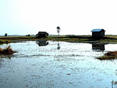 Ikop Lake Manipur - Ikop Pat Thoubal, History, Information, Photos