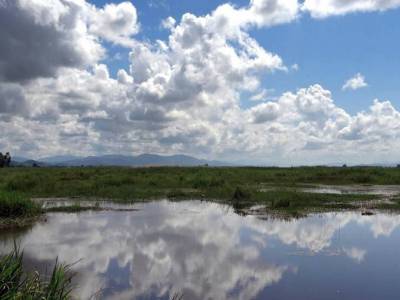 Ikop Lake Manipur - Ikop Pat Thoubal, History, Information, Photos