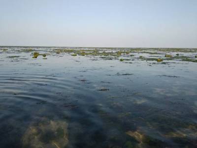 Narara Marine National Park Jamnagar, Timings, Entry Fee