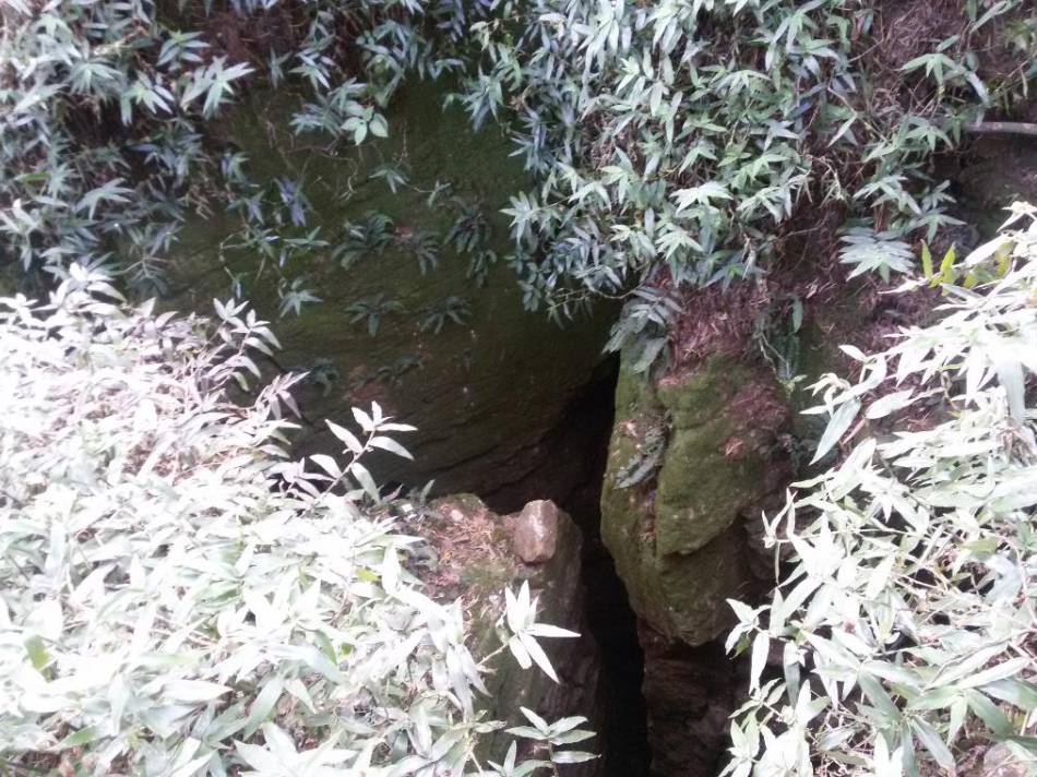 Guna Caves Kodaikanal, History, Timings, Entry Fee, Images