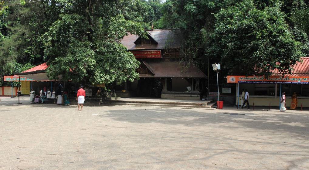 Mannarasala Nagaraja Temple, Importance, Timings, Images