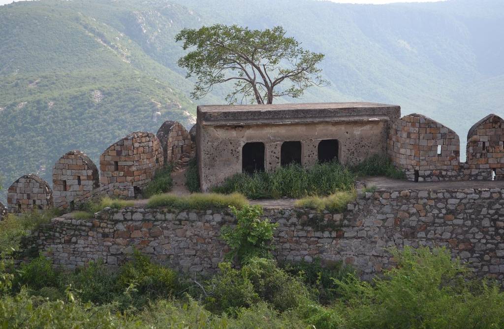 Bala Quila Fort Alwar, History, Timings, Entry Fee & Safari