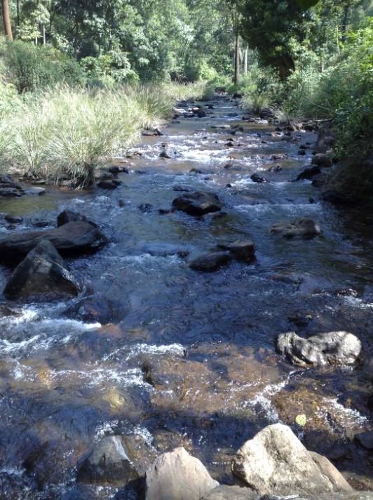 Hebbe Falls Chikkamagaluru, Timings, Entry Fee, Activities