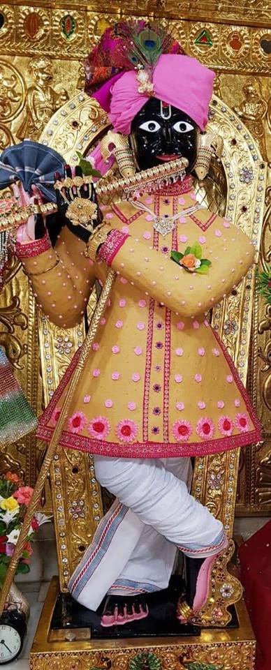 Shree Swaminarayan Temple Gadhada, History & Timings