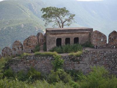 Bala Quila Fort Alwar, History, Timings, Entry Fee & Images