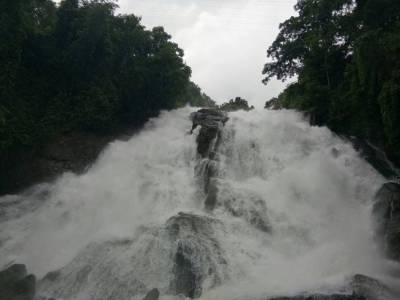 Charpa Waterfalls Thrissur, Information, Things to do & Photos