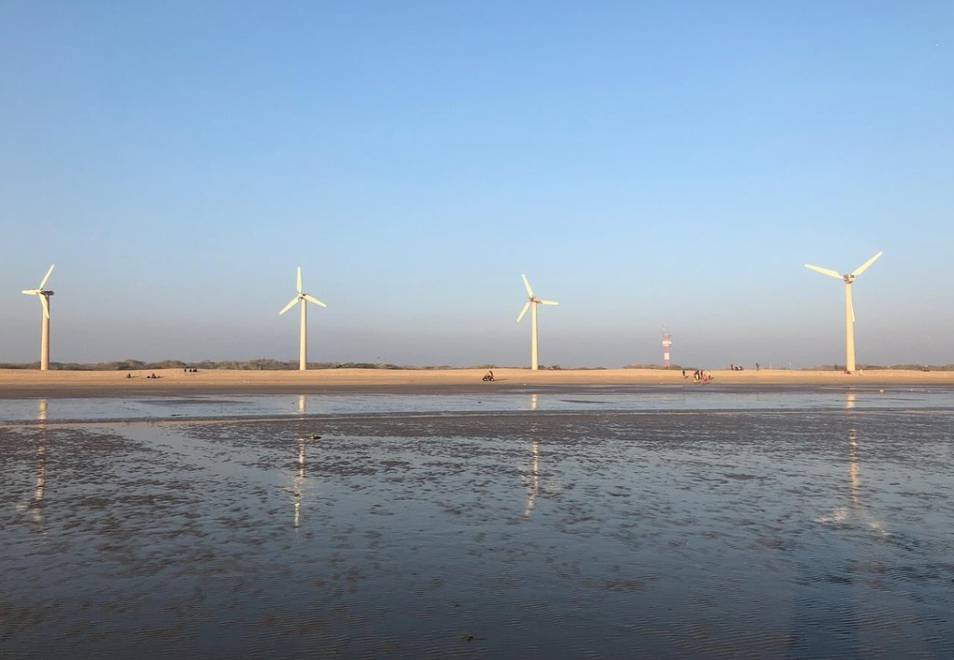 Mandvi Beach Kutch Gujarat, Things to do, Information & Photos