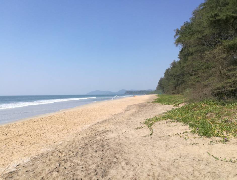 Galgibaga Beach Goa, Tourist Activities, Things To Do & Photos