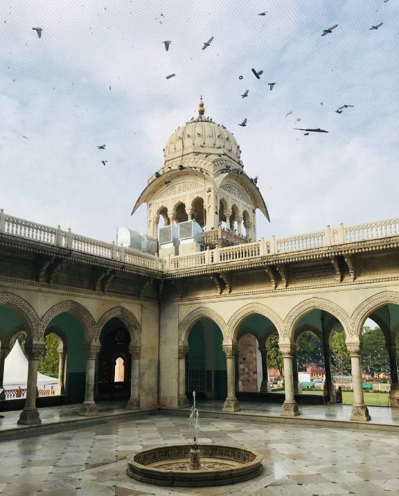 Albert Hall Museum Jaipur, Information, Timings, Entry Fee
