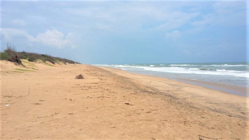 Swargadwar Beach Puri, Tourist Attractions & Importance