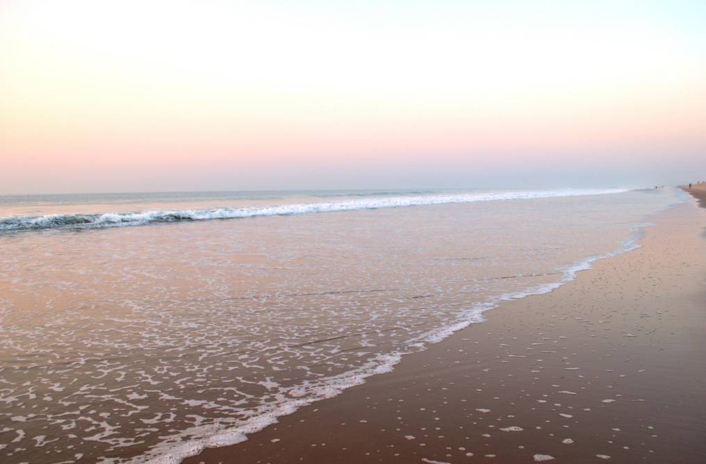 Swargadwar Beach Puri, Tourist Attractions & Importance