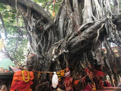 Vishnupad Temple Gaya, History, Timings, Steps, Importance