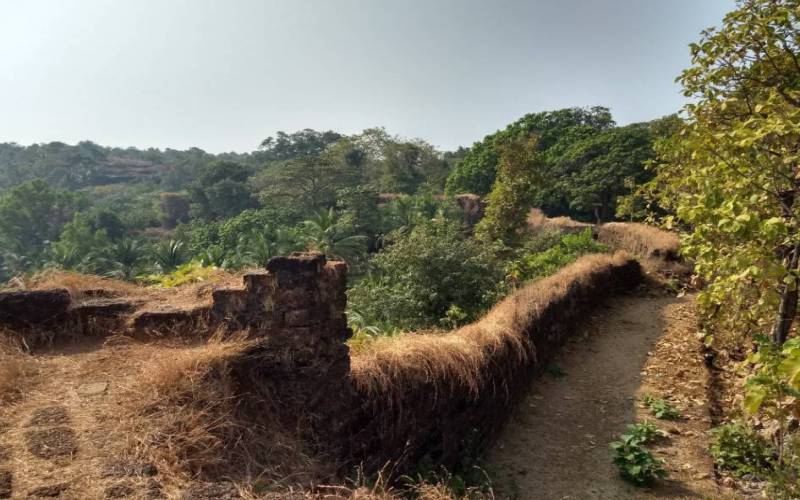 Cabo De Rama Fort Goa, History, Timings, Reviews, Entry Fee