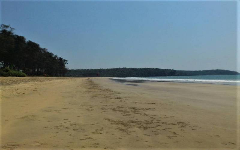 Galgibaga Beach Goa, Tourist Activities, Things To Do & Photos