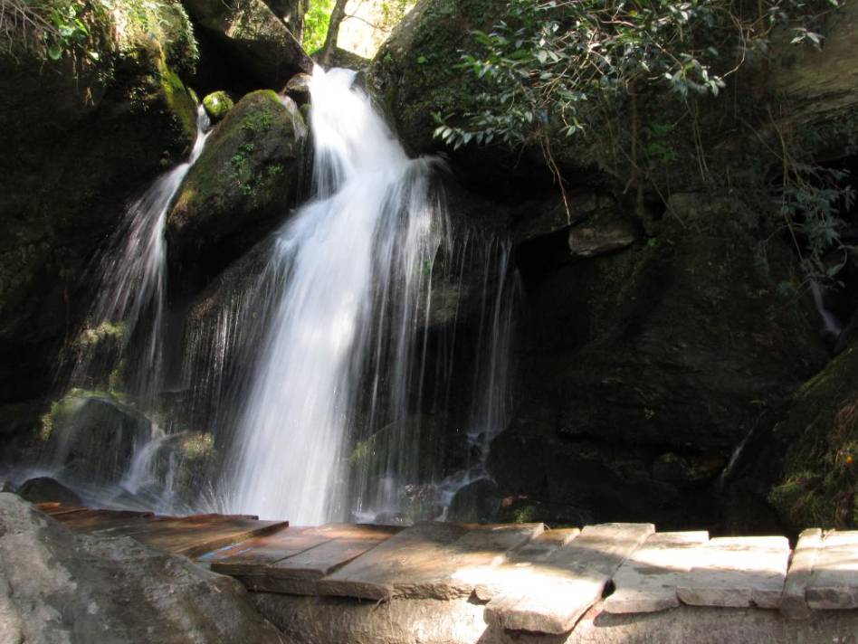 Jana Waterfall Manali, Timings, Things to do & Entry Fee