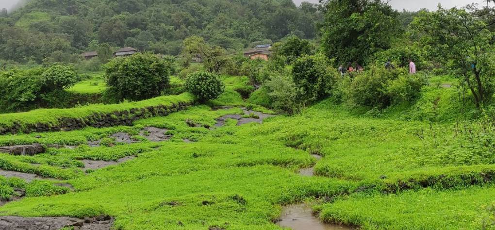 Kothaligad Fort Karjat | Peth Fort Maharashtra, History & Trek