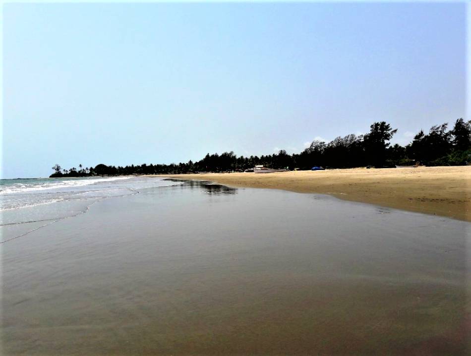Morjim Beach Goa, Things to do, Adventure Activities & Photos