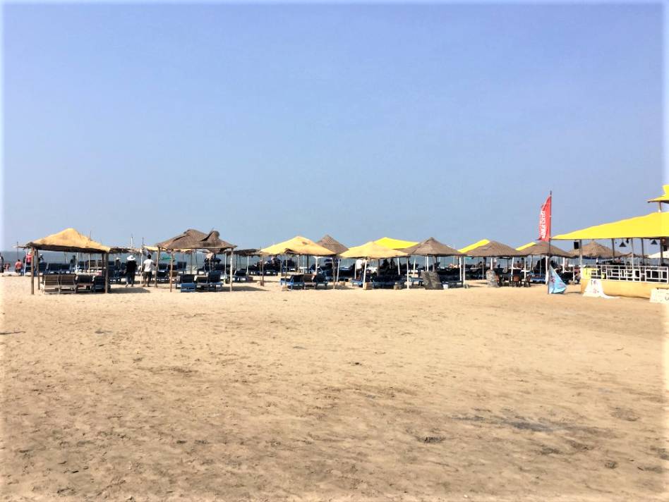 Morjim Beach Goa, Things to do, Adventure Activities & Photos