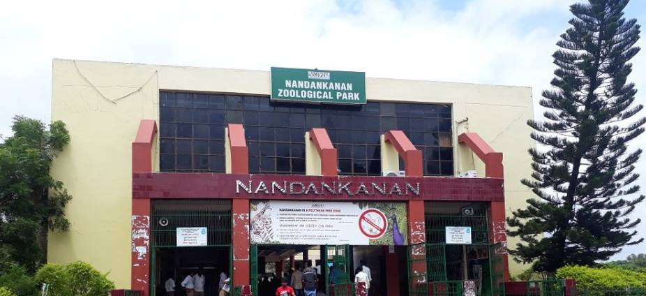 Nandankanan Zoological Park Bhubaneswar, Timings, Entry