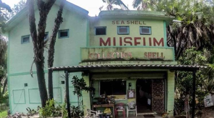 Sea Shell Museum Diu, Timings, History, Information, Entry Fee