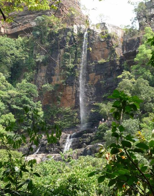 Talakona Waterfall Chittoor, Timings, Entry Fee & Activities