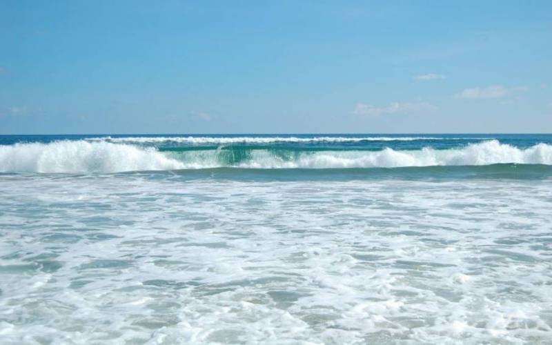 Chandrabhaga Beach Puri, Tourist Attractions & Things to do