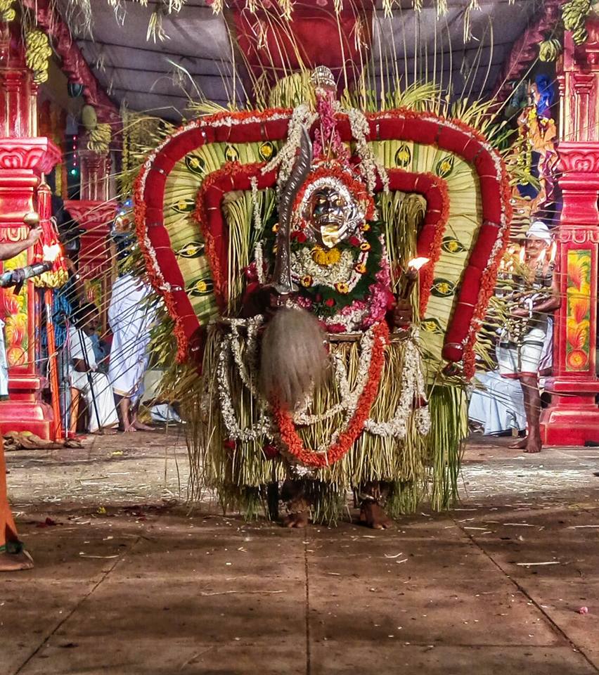 Buta Kola Folk Dance, Information, Origin & Importance